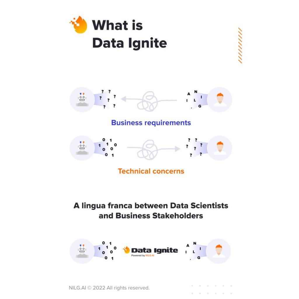 Data Ignite Nilg Ai