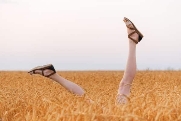 Turning classes into inputs - NILG.AI